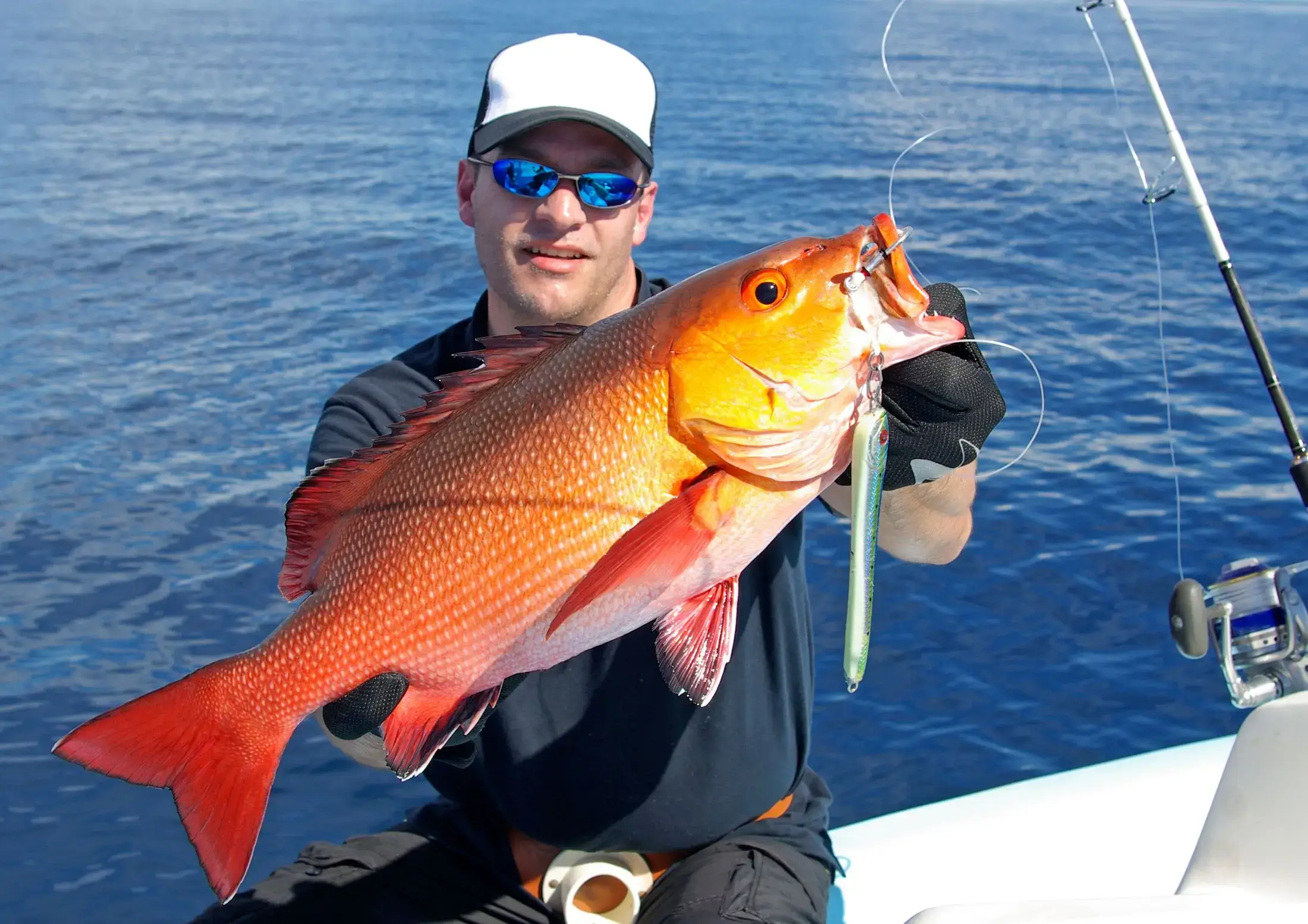 Everything You Should Know About Red Snapper Season in Florida | Fish-N ...